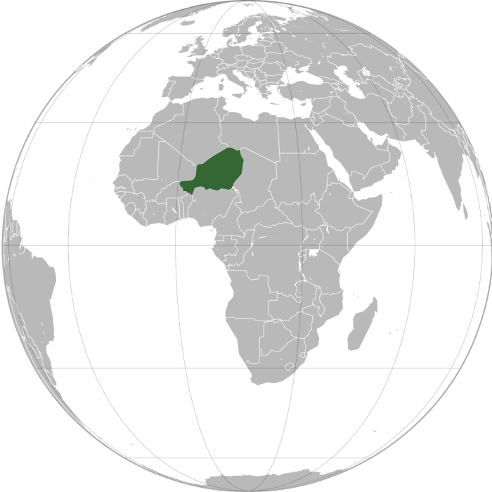 Études nigériennes - un bref aperçu | LaCAS Publications
